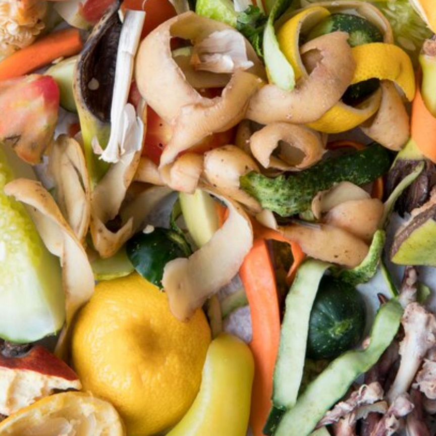 Пищевые отходы