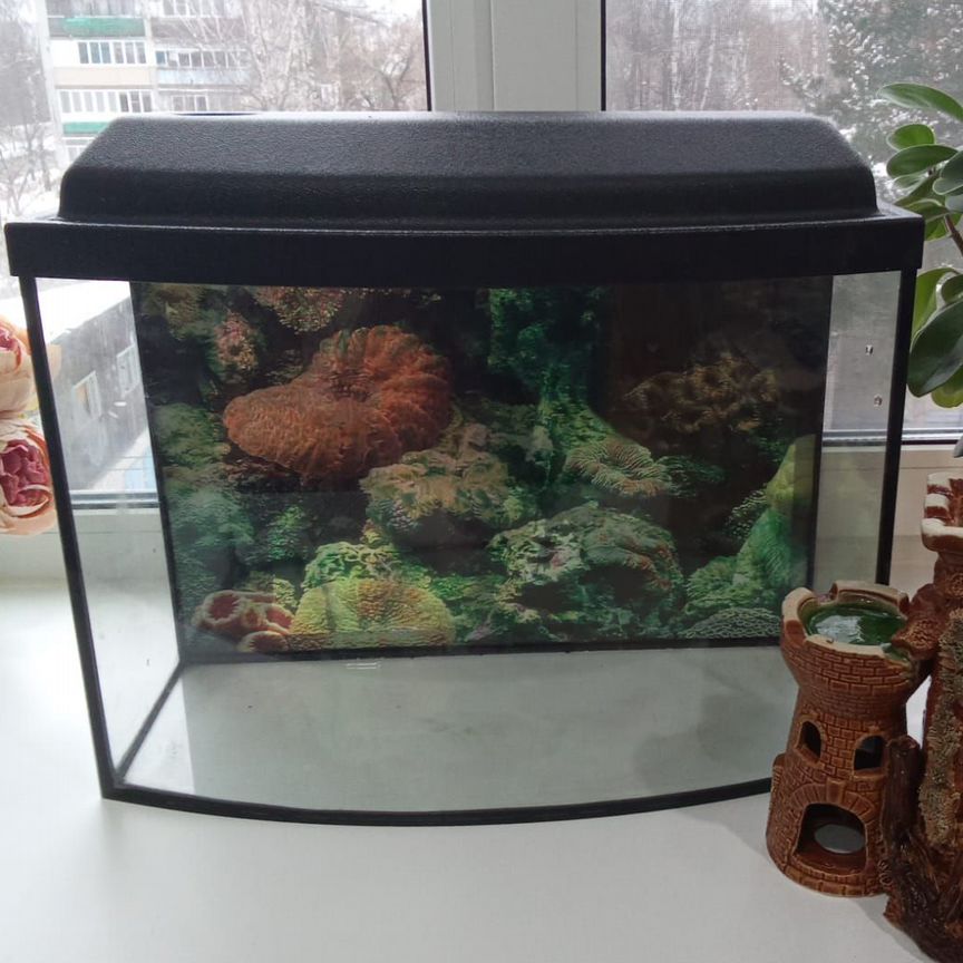 Аквариум панорамный 30л и грот