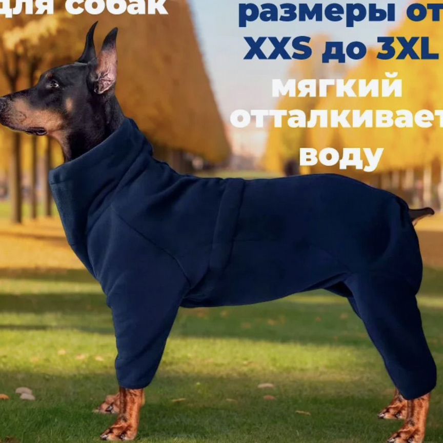 Одежда для собак