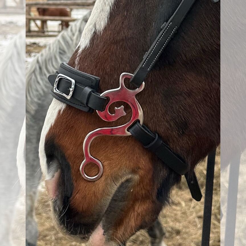 Хакамора для лошади