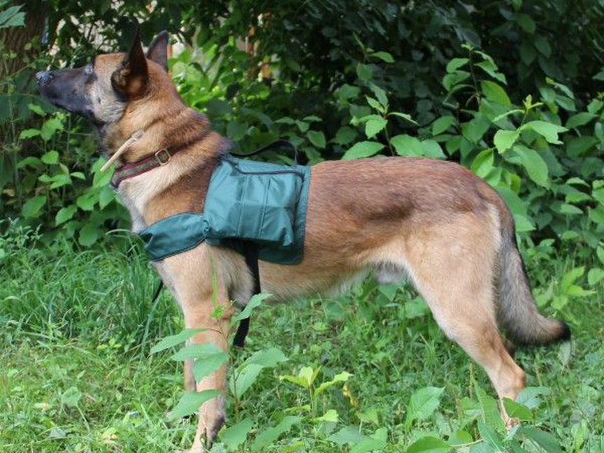 Рюкзак для собаки, сумка вьючная