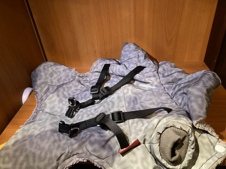 Зимний комбинезон для собак мелких пород