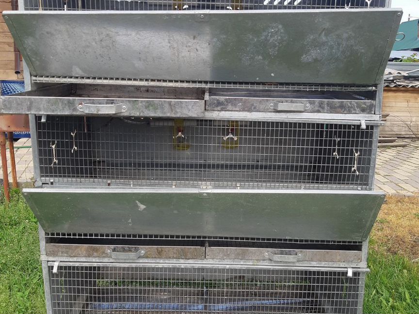 Клетки для бройлеров бу