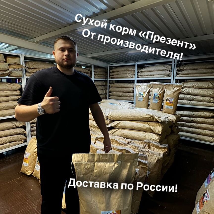 Сухой корм для собак