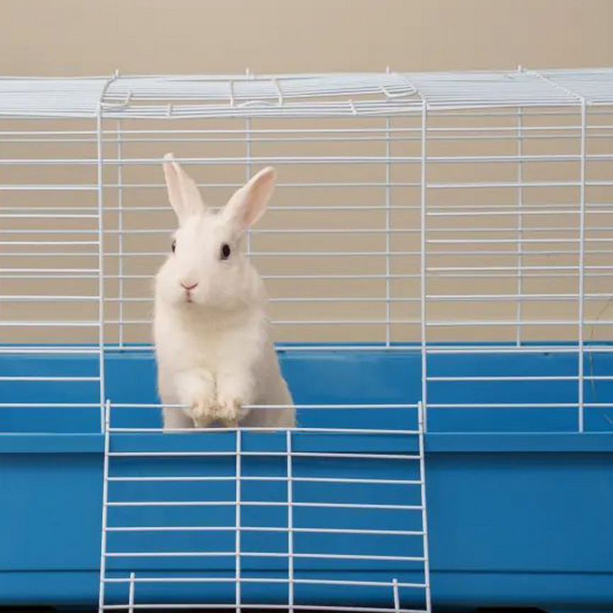 Клетка для кролика или грызунов