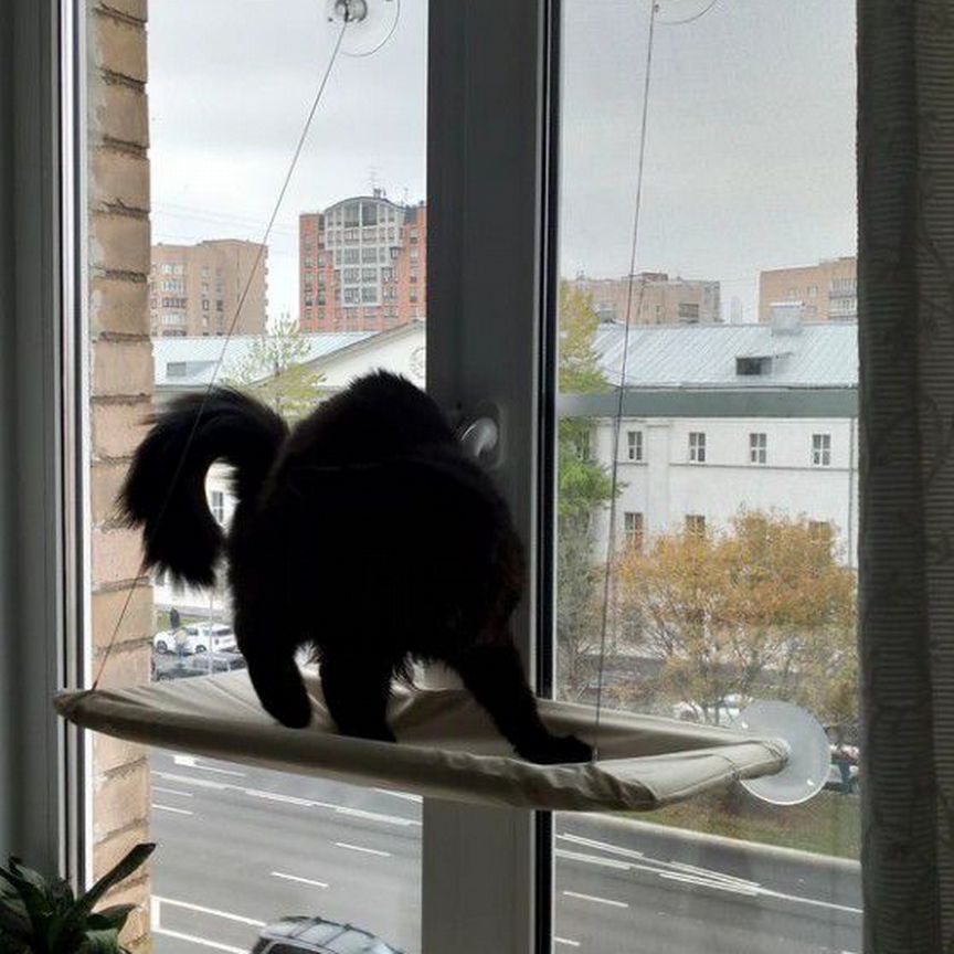 Кошачий гамак полка на окно