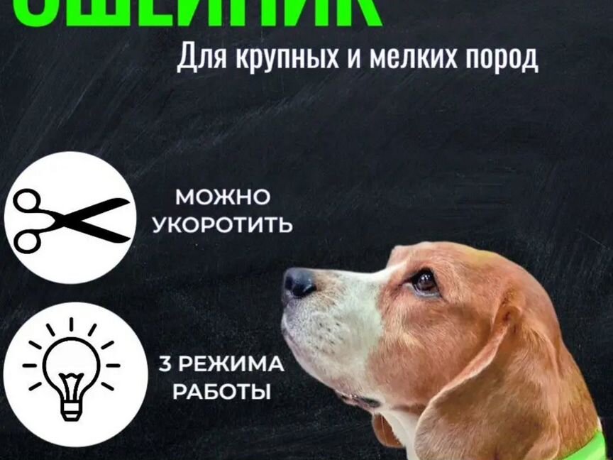 Светящийся ошейник для собак оптом
