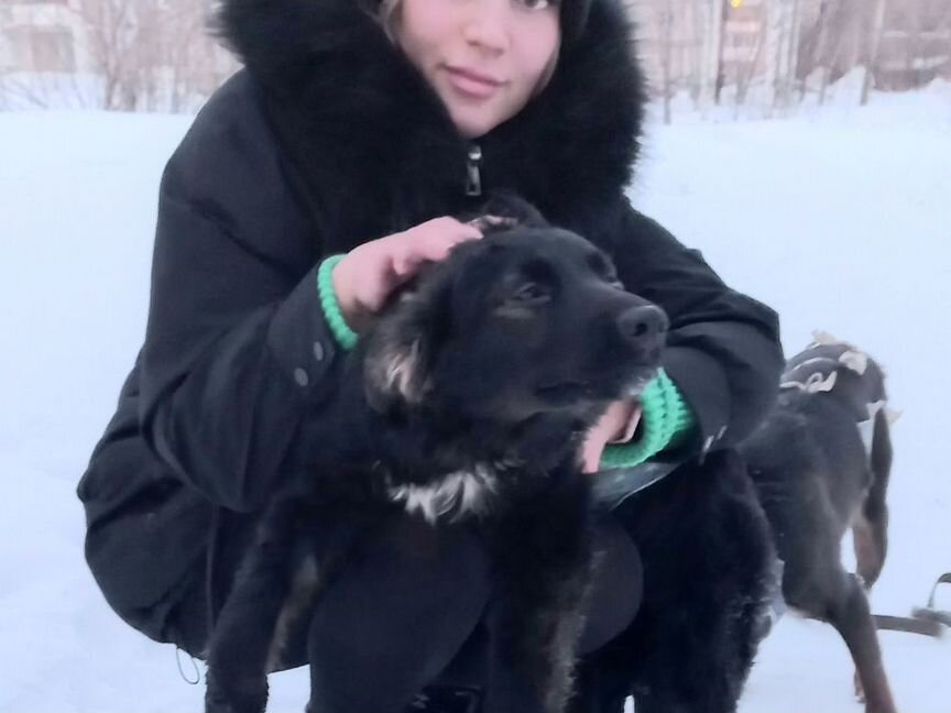 Щенок девочка 5 мес., стерелизована