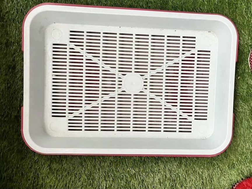 Лоток и совок для кошки