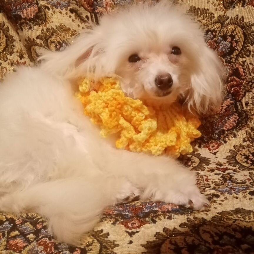 Микро девочка