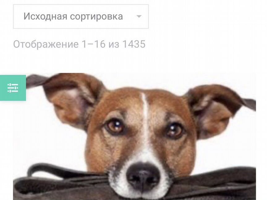 Товары для животных