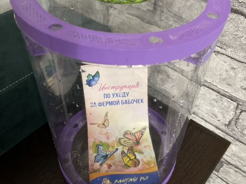 Баттерфлярий (ферма бабочек)