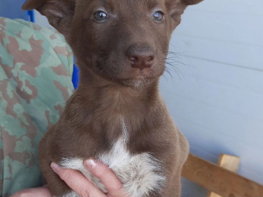 Девочка хочет домой