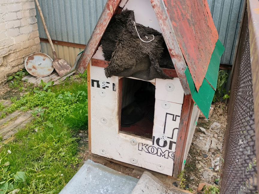 Продам собачью будку