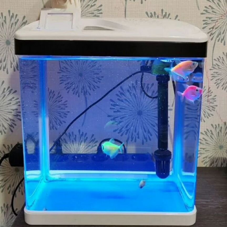 Аквариум с рыбками и принадлежностями