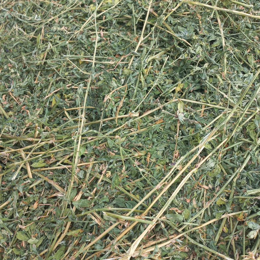 Сено люцерны в рулонах