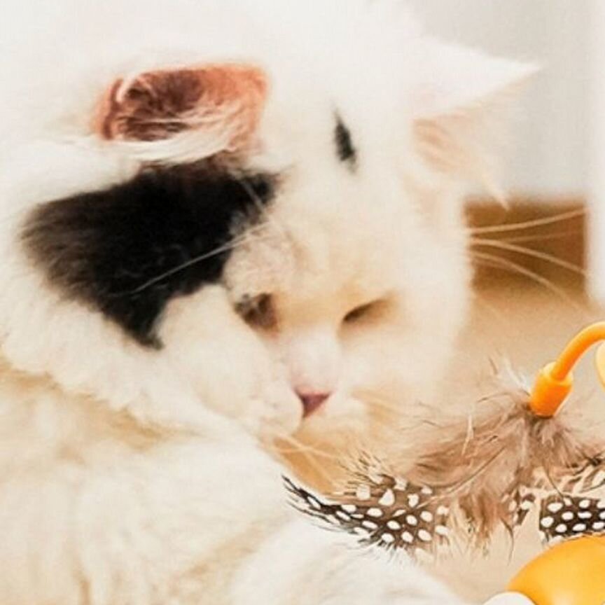 Интеллектуальные игрушки для кошек, котят, котов