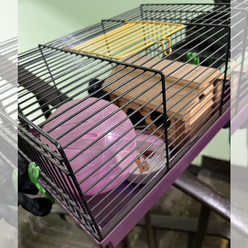 Клетка для грызунов