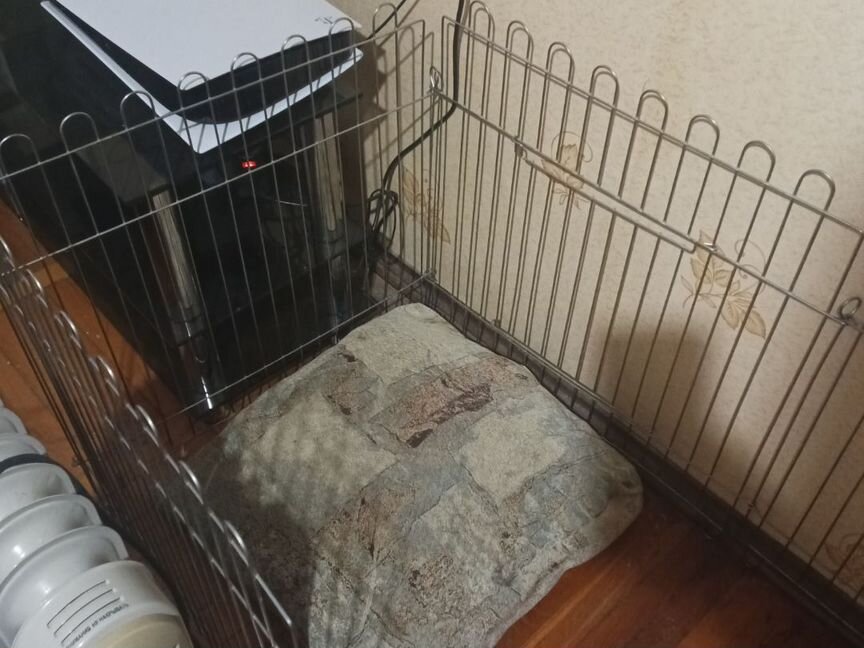 Вольер для собак в квартиру