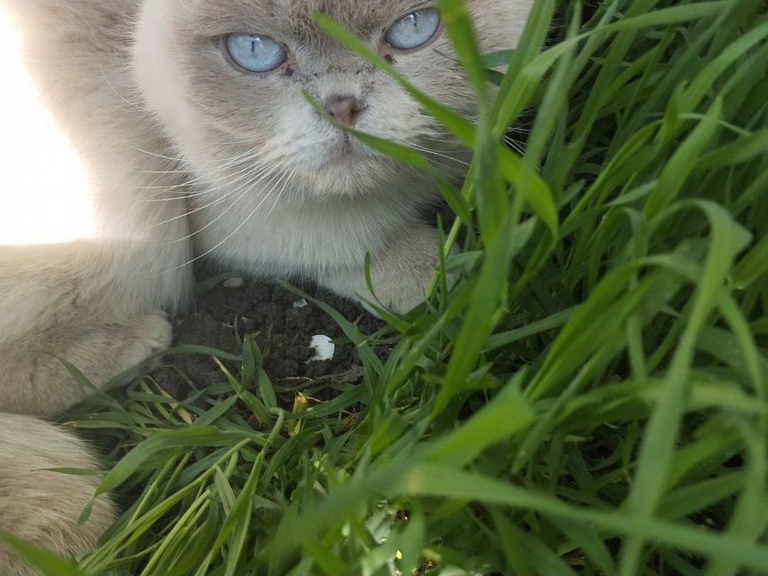 Кто потерял такое чудо, отзовитесь, это мальчик