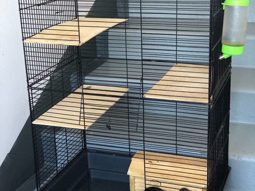 Клетка для шиншилл хорька дегу крыс