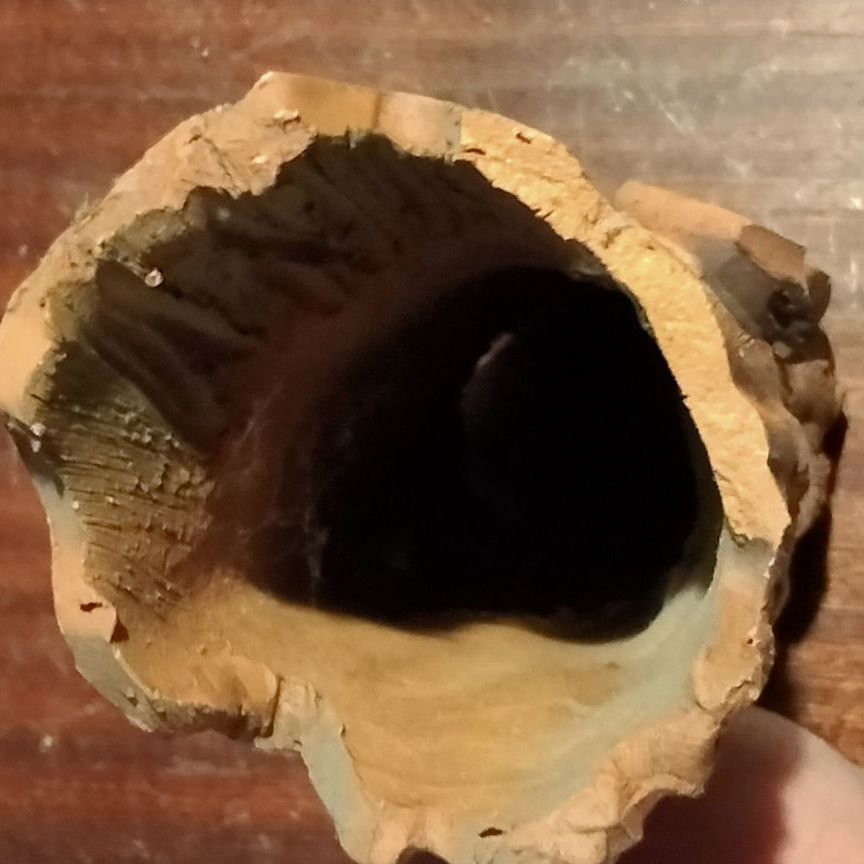 Для аквариума