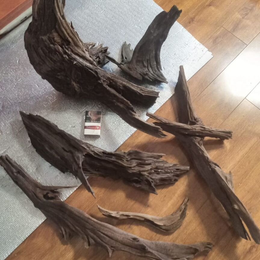 Мангровые коряги