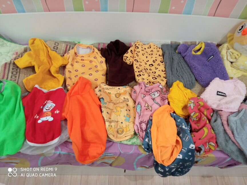 Вещи для таксы (от щенка до взрослой собаки)