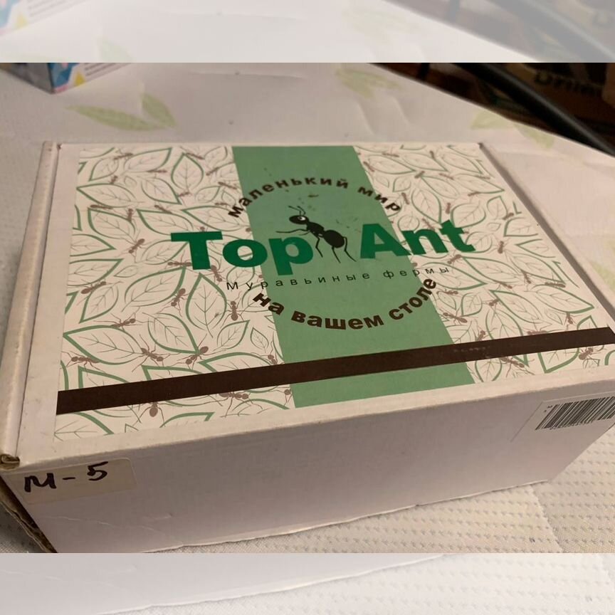 Муравьная ферма Фармикарий Top Ant