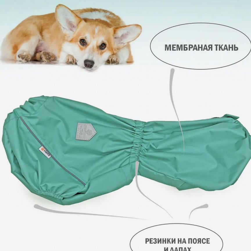Комбинезон дождевик для собаки корги мальчик