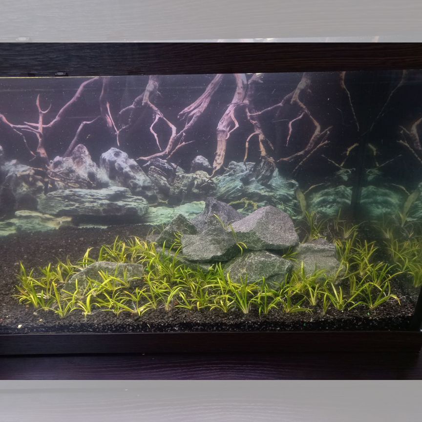 Камни для аквариума