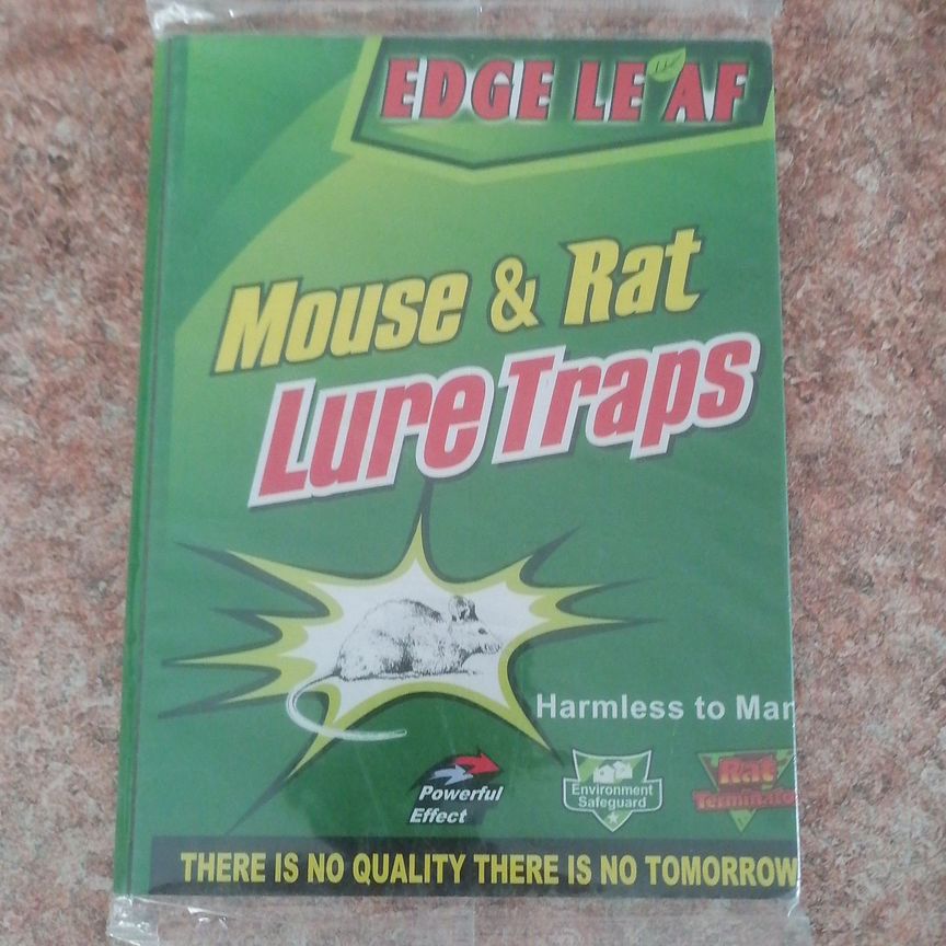 Мышеловка-липучка