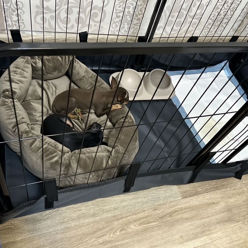 Вольер для собак в квартиру усиленный