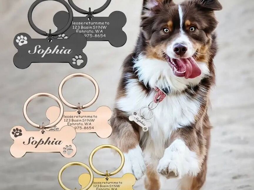 Адресник для собак и кошек