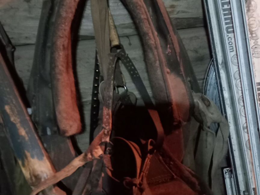 Упряжь для лошади