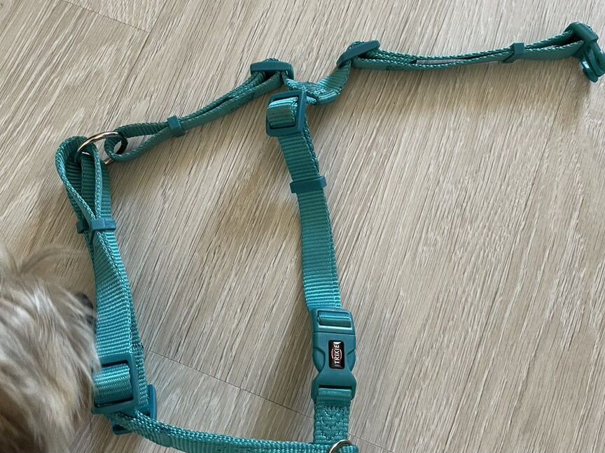 Шлейка trixie Premium H-harness M-L океан