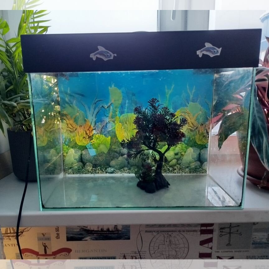 Аквариум на 40 литров