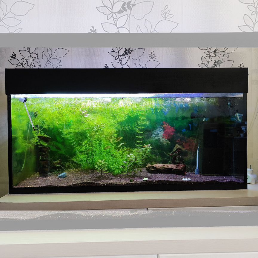Аквариум Бу 95х34.5х49.5, 140 литров