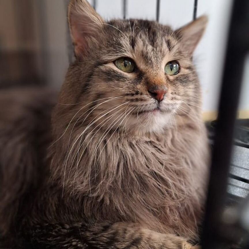 Мальчик Оскар