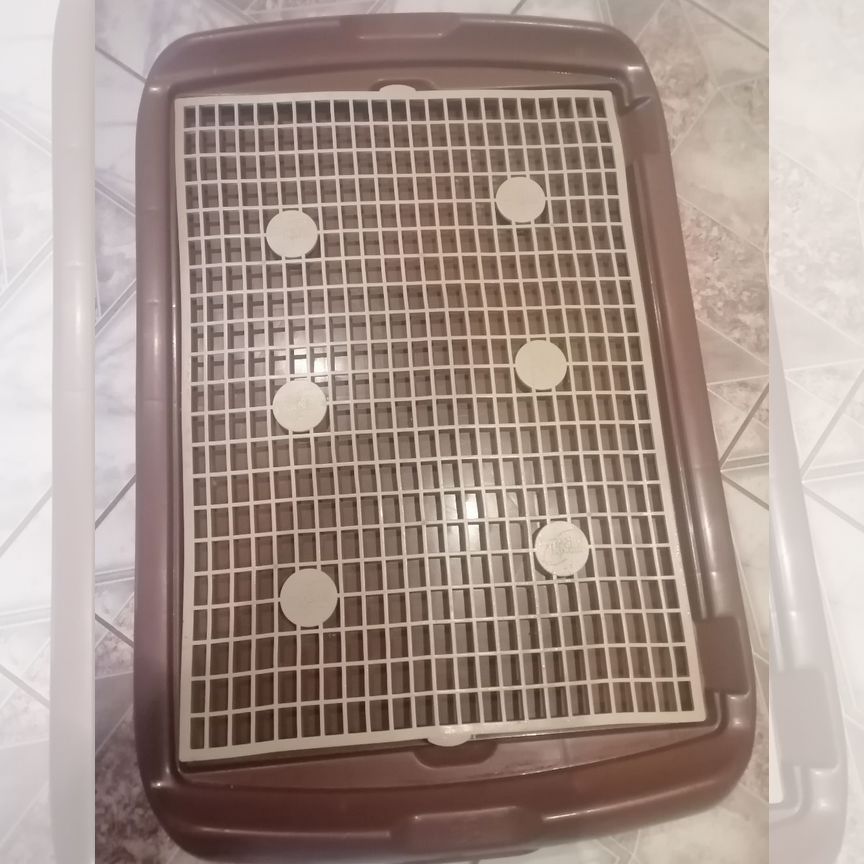 Лоток для собаки б/у