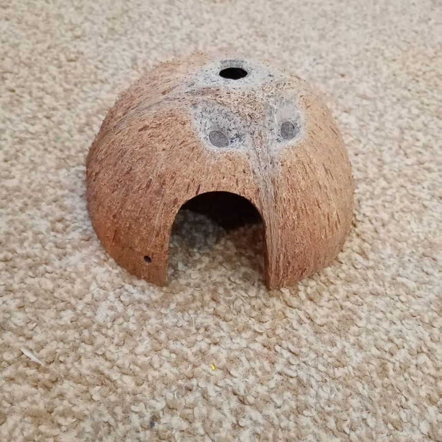 Укрытие для рептилий (кокос)