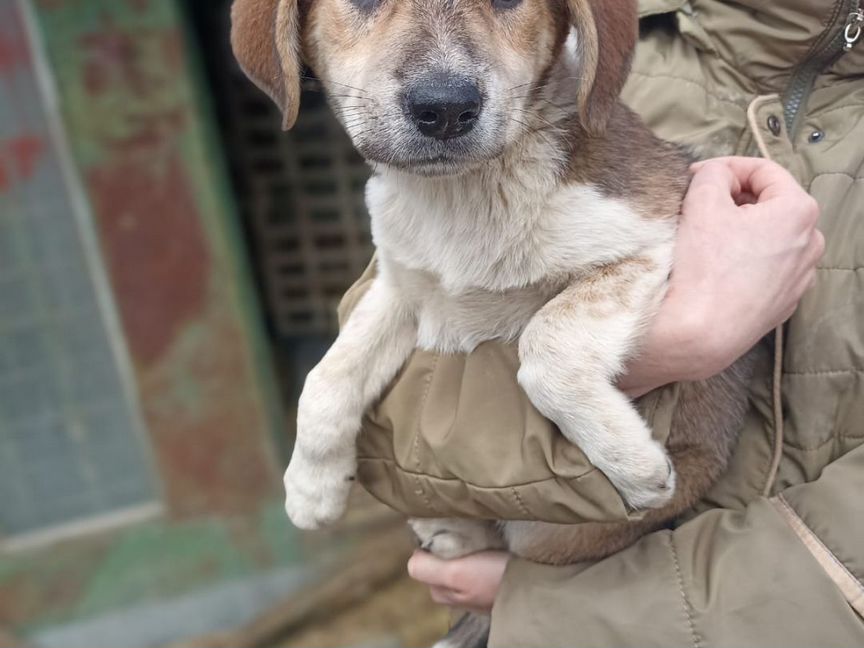 Девочка 3 мес очень сильно хочет быть любимой