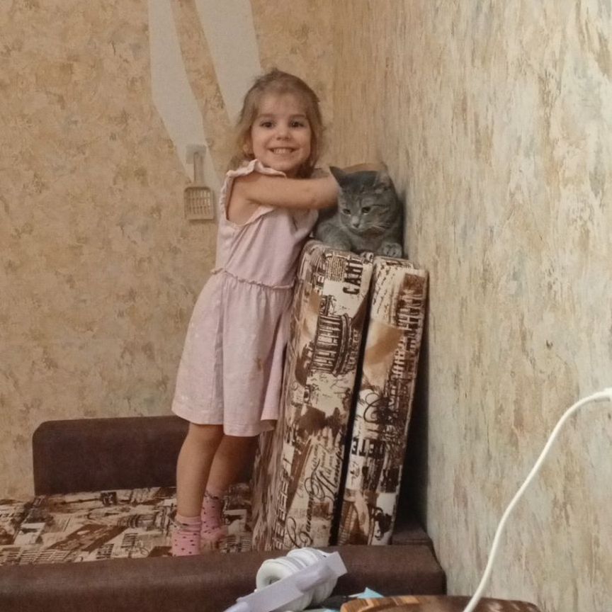 Кошка Буся