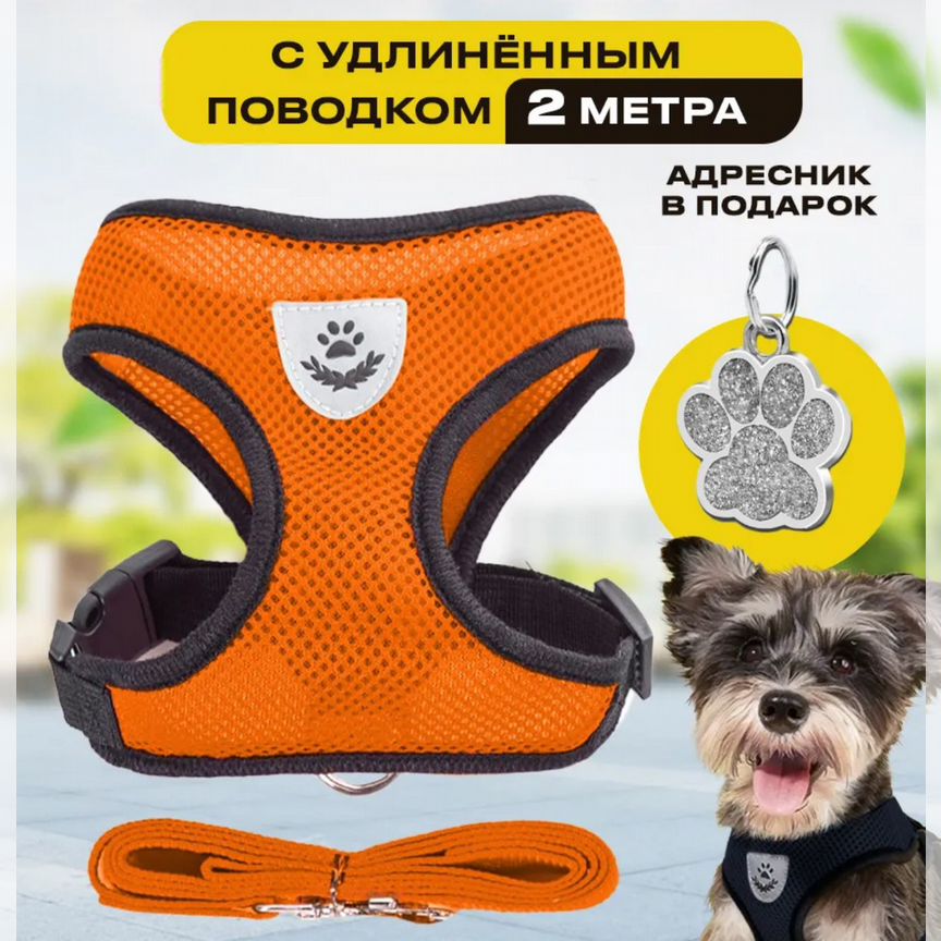 Шлейка для кошек и собак