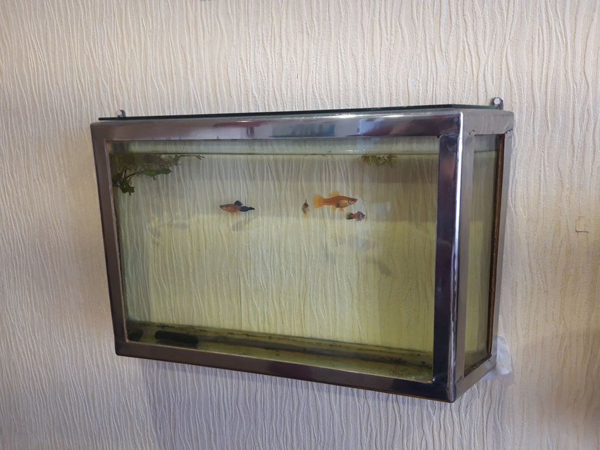 Аквариум настенный