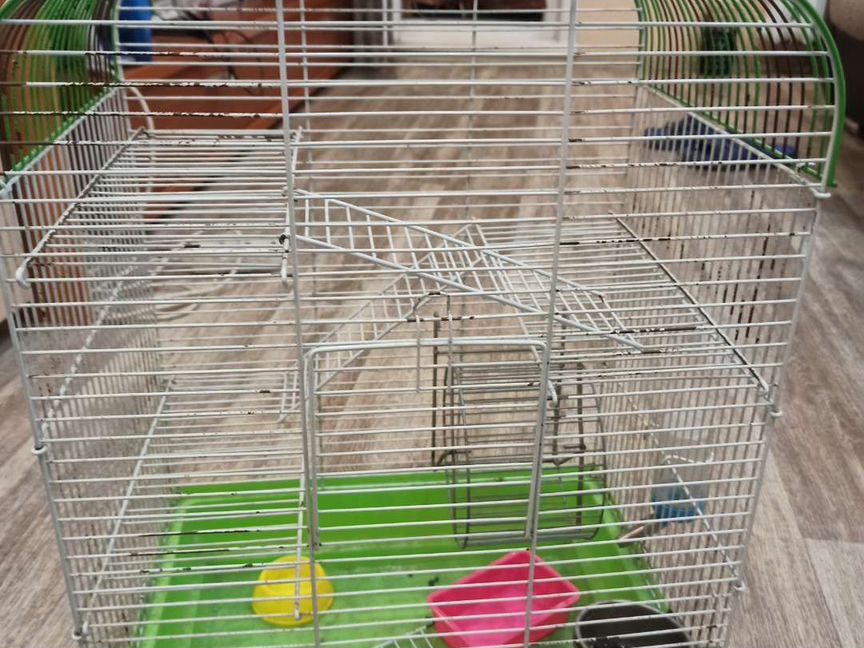 Клетка для грызунов бу