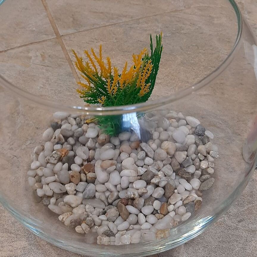 Аквариум шар 3л с декором