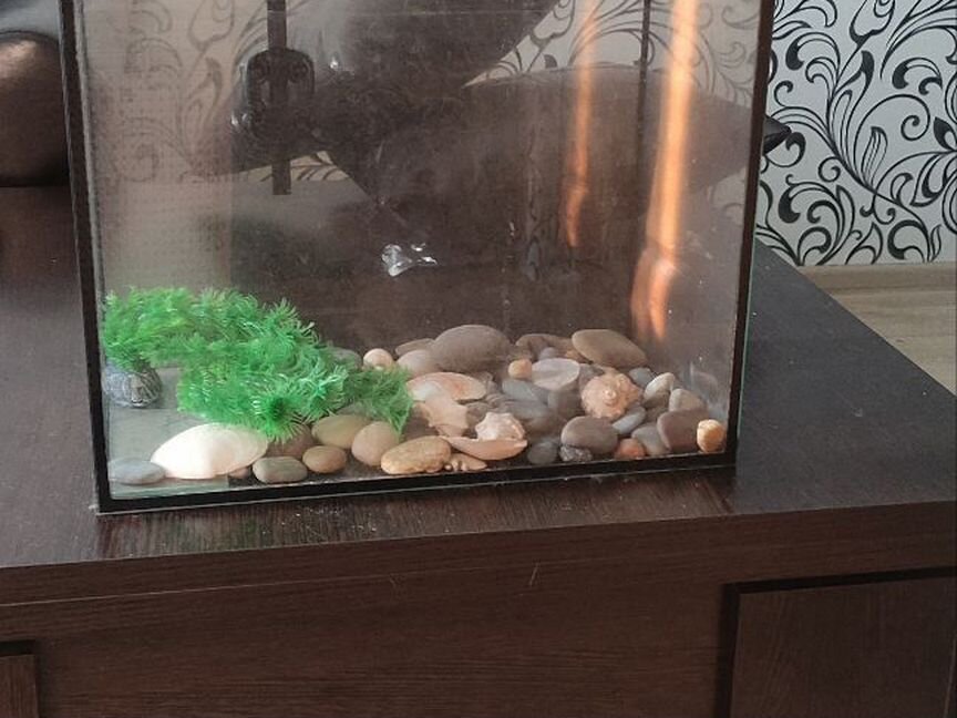 Аквариум,25 л