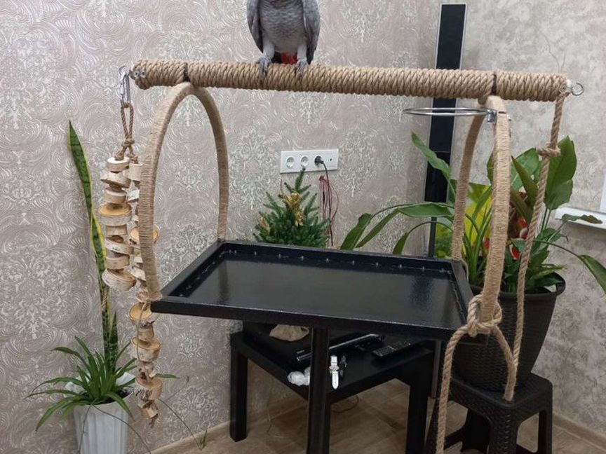 Присада для попугая