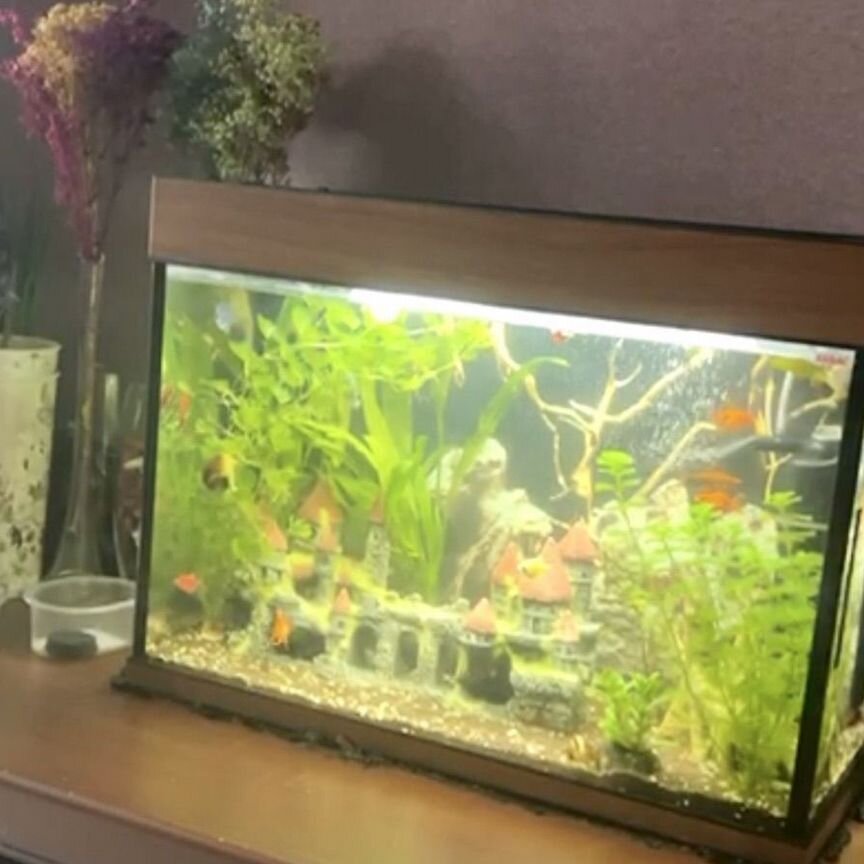 Аквариум на 70 литров